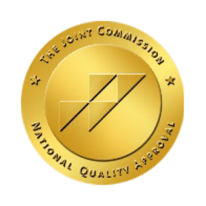 Our Capabilities | Loyal Source | Government Services