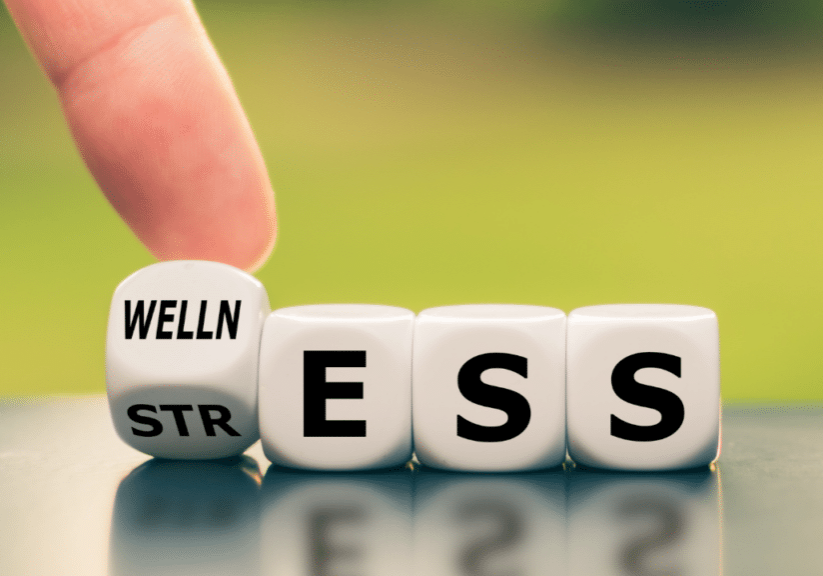 Home | Loyal Source | Government Services